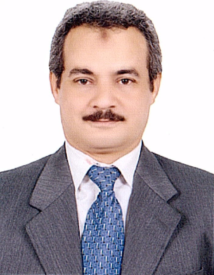 Mahmoud Gomaa - Egypt Scholars Mahmoud Gomaa - Egypt Scholars